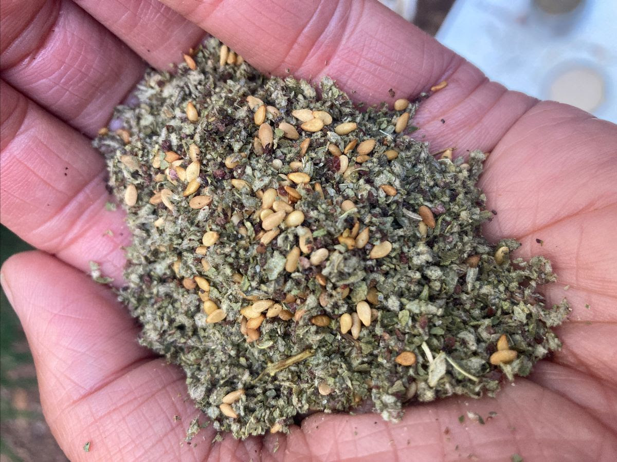 Za’atar Spice Blend from Jordan - Zingerman's Deli
