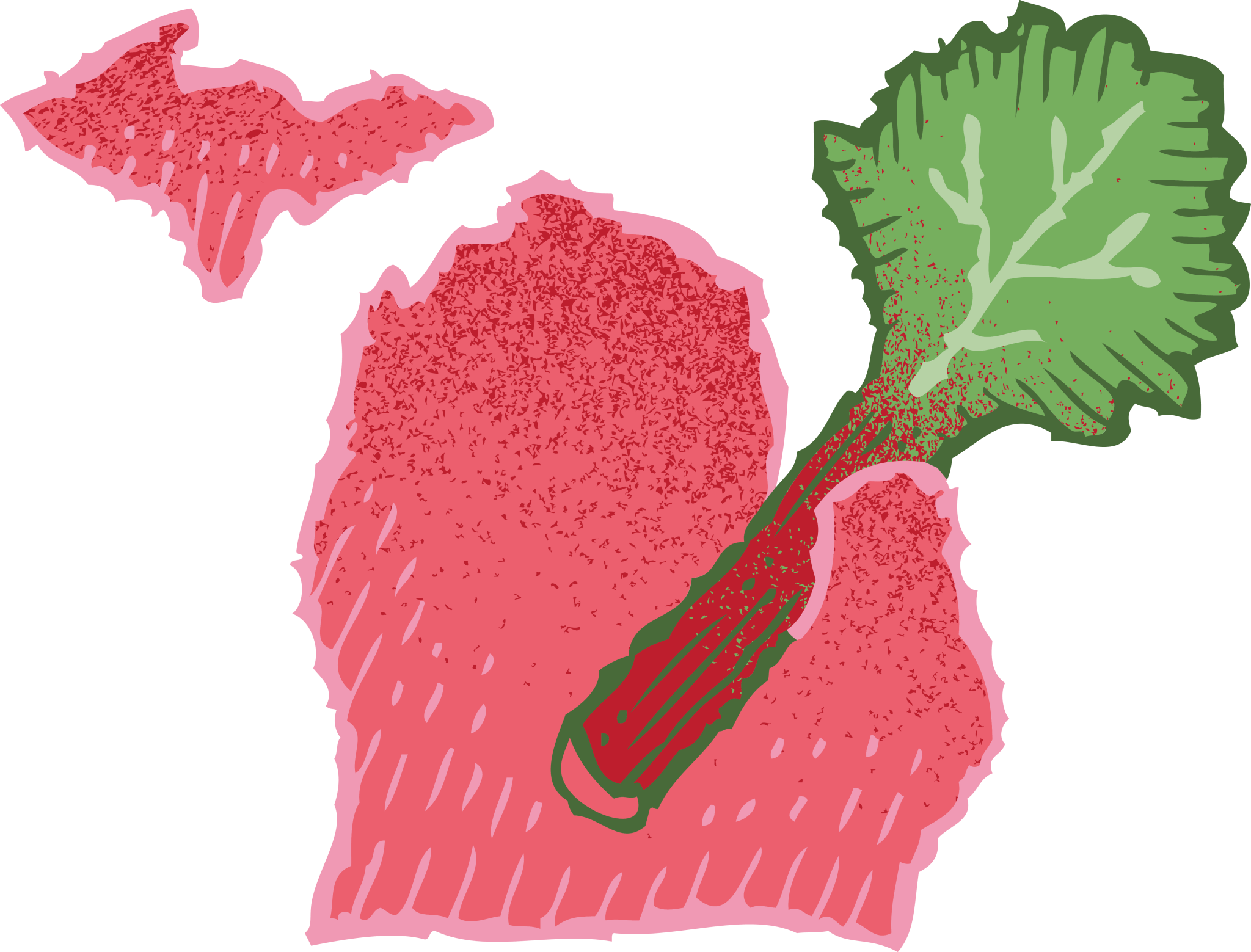 Rhubarb-Ade Recipe - Zingerman's Deli