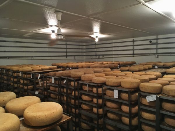 All About Pleasant Ridge Reserve Cheese - Zingerman's Deli