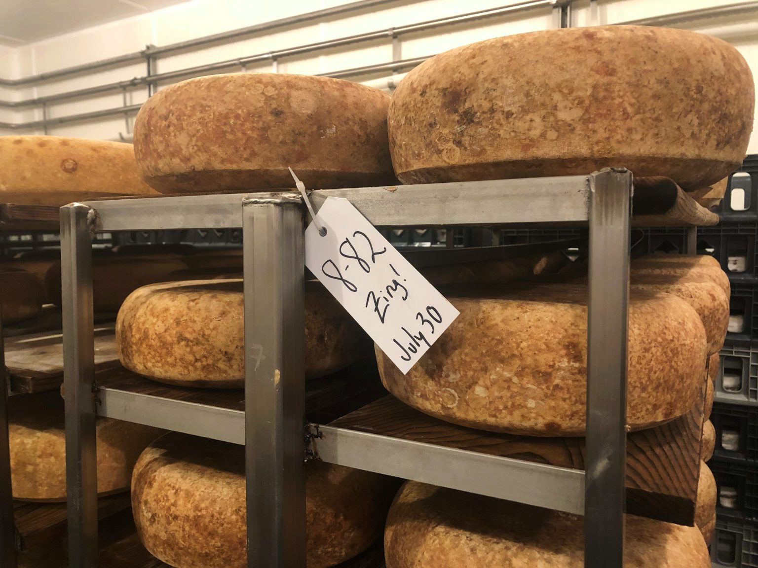 All About Pleasant Ridge Reserve Cheese - Zingerman's Deli