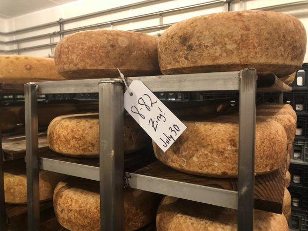 All About Pleasant Ridge Reserve Cheese - Zingerman's Deli