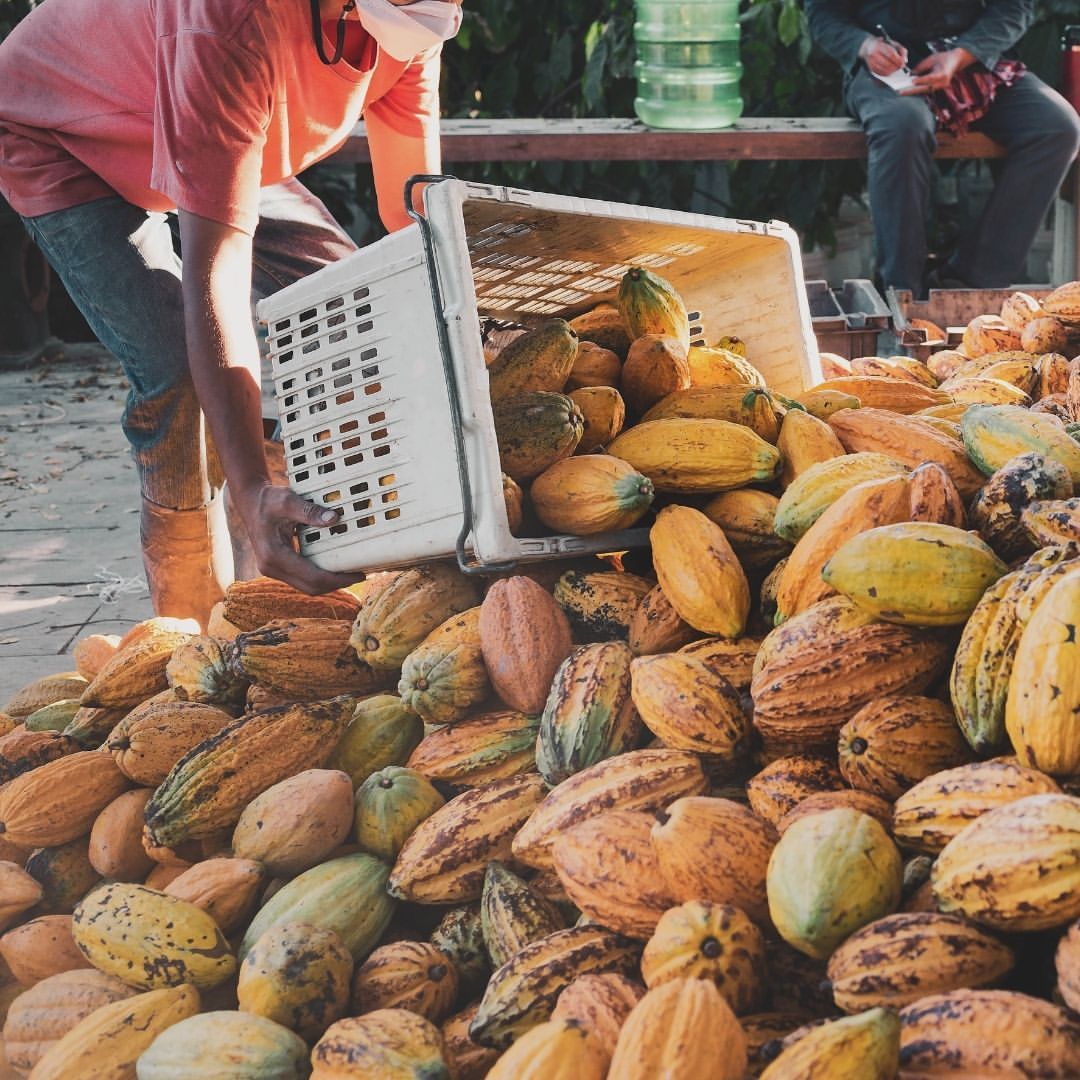 Made at Origin Chocolates at the Deli - Zingerman's Deli