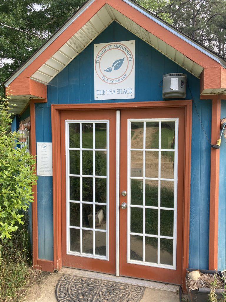 Introducing The Great Mississippi Tea Company – Zingerman's Deli