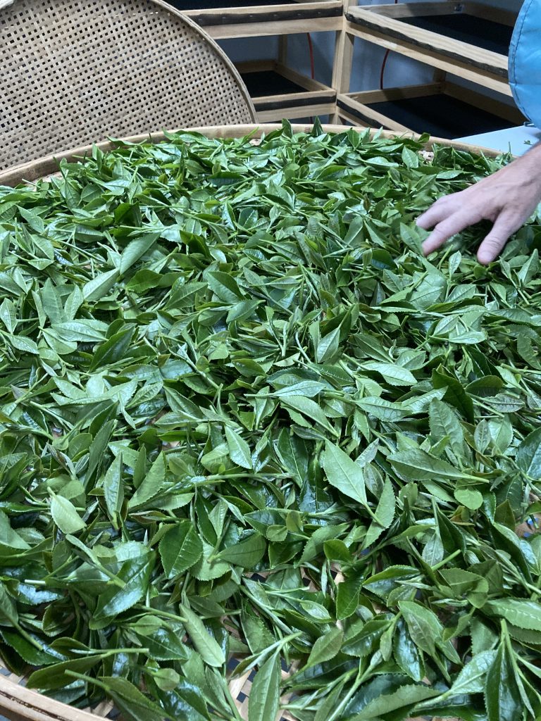 Introducing The Great Mississippi Tea Company - Zingerman’s Deli