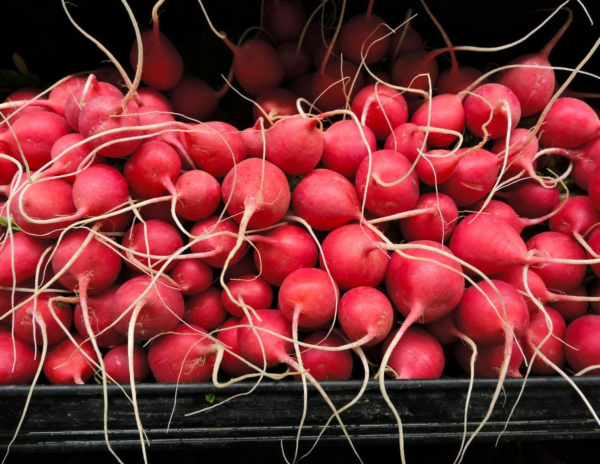 A Great Way to Use Fresh Radishes! - Zingerman's Deli