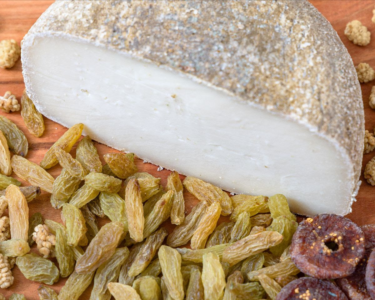 Garrotxa Goat Cheese from Catalunya - Zingerman's Deli