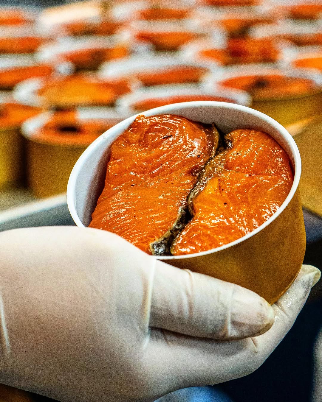 Introducing Wildfish Cannery - Zingerman's Deli